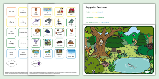 Forest Activities | twinkl.co.uk