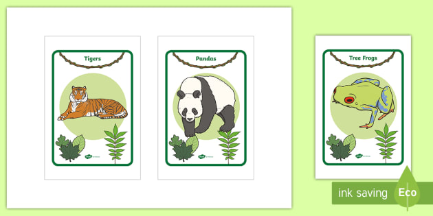 Jungle And Rainforest Themed Group Names IKEA Tolsby Fiestad Frame jungle-and-rainforest-themed-group-names-ikea-tolsby-fiestad-frame
