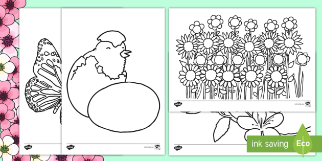 Welsh Spring Colouring Pages | Twinkl Resources | Wales