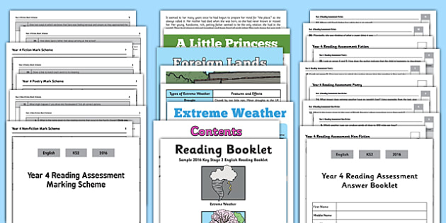 Year 4 Term 3 Reading Assessment Pack (teacher made)