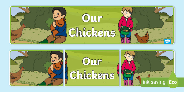 Our Chickens Display Banner (teacher made)