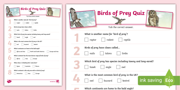Birds of Prey Quiz (teacher made)