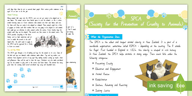SPCA Fact File (teacher made)