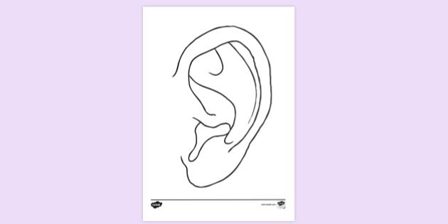 FREE! - Generic Variation Ear Colouring | Colouring Sheets