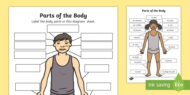 Parts Of The Body A4 French Labelled Reference Sheet