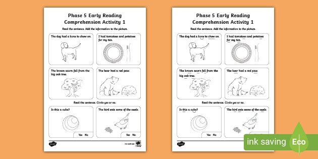 Phase 5 EYFS Reading Comprehension Activity 1 (teacher made)