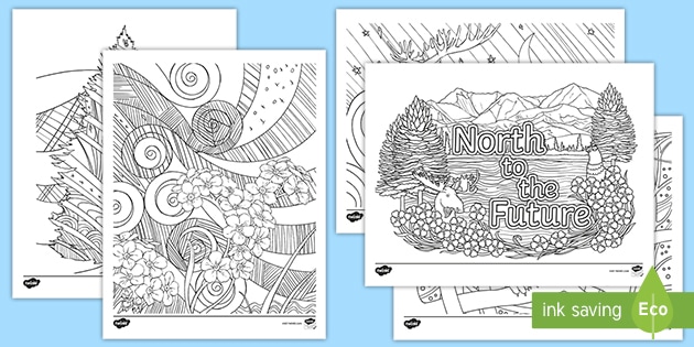 Alaska State Symbols Mindfulness Coloring Sheets - Twinkl