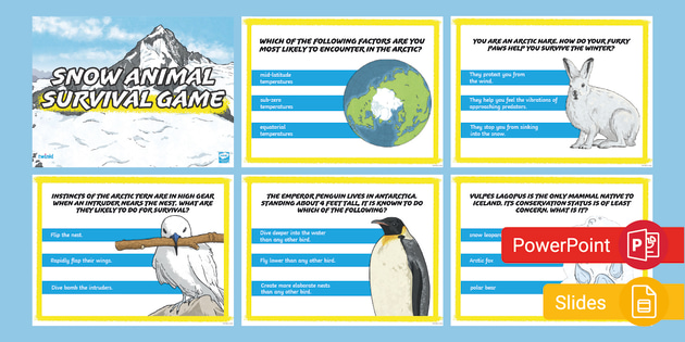 Snow Animals Presentation Quiz | PowerPoint & Google Slides