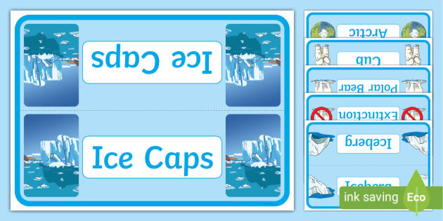 Polar Bears Resources | twinkl.co.uk