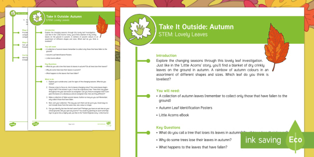 KS1 Take It Outside: Autumn STEM - Lovely Leaves Activity