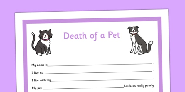 Social Situation Sheet Death of a Pet Primary (teacher made)