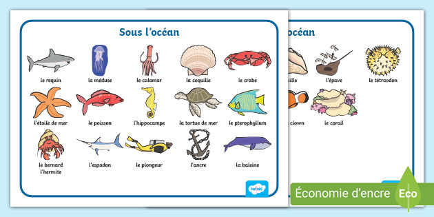 Ensemble de mots : sous l'océan (teacher made)