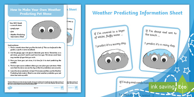 Weather Predicting Winter Wonderland Pet Stone
