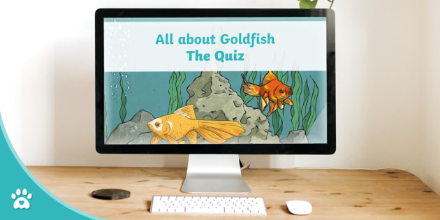 All about Goldfish - PowerPoint Quiz - Fish - Twinkl Pets