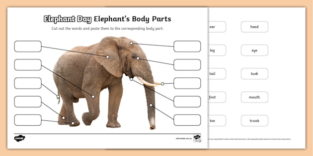 Elephant Cut Out Worksheets