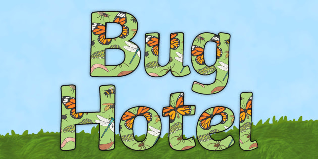 Bug Hotel Sign | Display Lettering (teacher made)