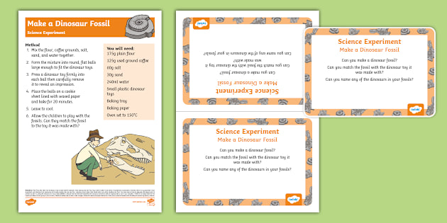 Fossil Activities - Twinkl Homework Help - Twinkl