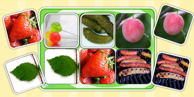 Photo Matching Cards and Board to Support Teaching on The Very Hungry