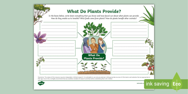 Plants Mind Maps | twinkl.com.au