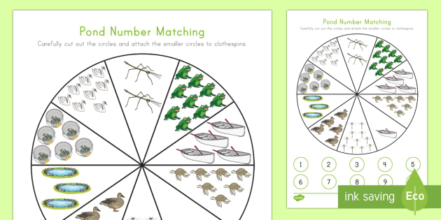 Pond Number Matching Activity