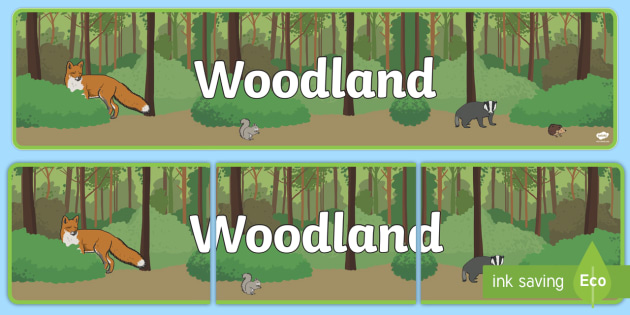 FREE! - Woodland Display Banner (teacher made)