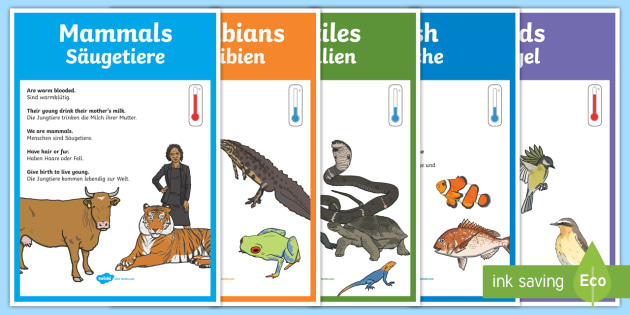 Animal Groups Display Posters English/German (teacher made)