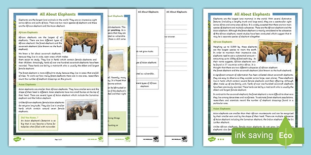UKS2 All About Elephants Differentiated Reading Comprehension Activity (Age