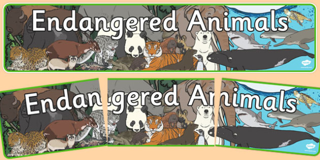 Endangered Animals Display Banner - endangered animals, animals, in danger