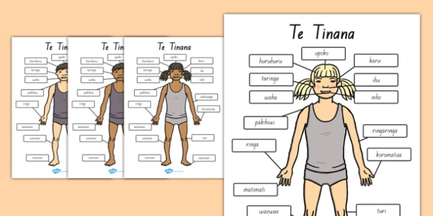 Parts of the Body A4 Te Reo Maori (teacher made)