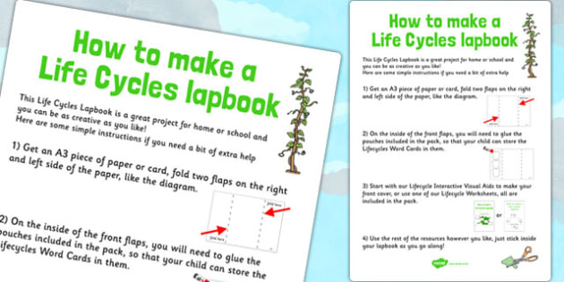FREE! - Life Cycles Lapbook Instructions Sheet