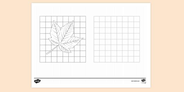 FREE! - Leaf With Grid Colouring Sheet (teacher made)