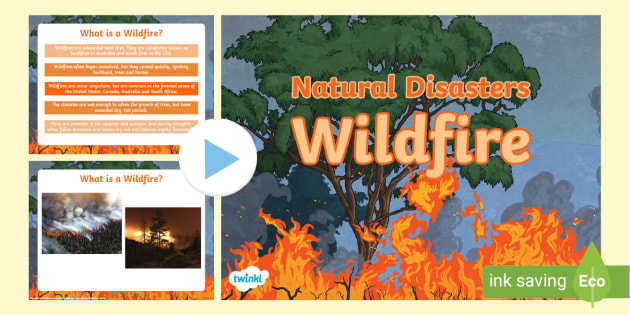Wildfires KS2 PowerPoint - Natural Disasters (teacher made)