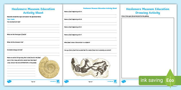 Haslemere Museum Fact Activity Sheets | Natural History