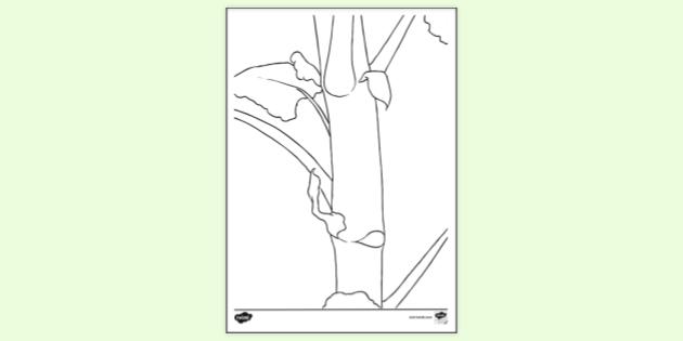 FREE! - Leaf Joint Colouring | Colouring Sheets