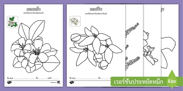 Thai Provincial Flowers Colouring Pages-Eastern Region