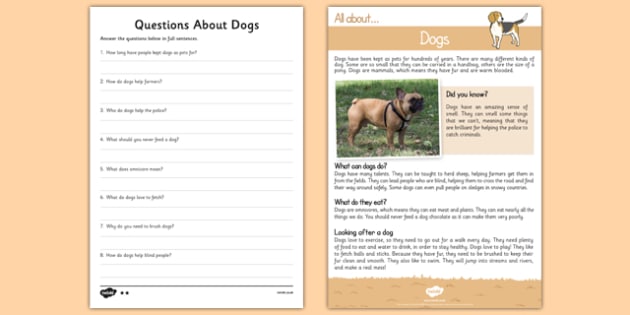 Reading Comprehension About Dogs | Primary Resources