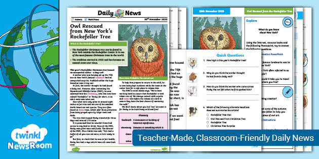 NewsRoom Pack - Rockefeller Owl- KS2 Reading Comprehension