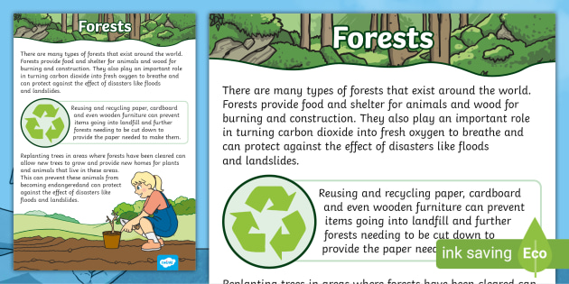 Forests Display Poster