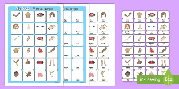 My Body Vocabulary Matching Mat English/Portuguese