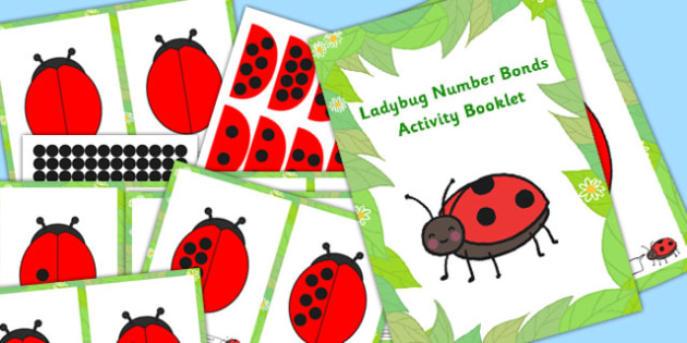 Ladybug Number Bonds Activity Booklet (teacher made)