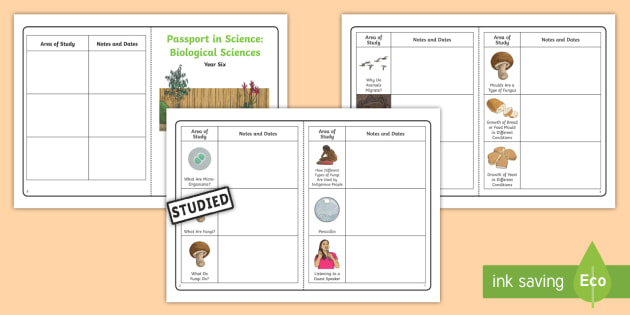 Year 6 Biological Sciences Passport Booklet (teacher made)