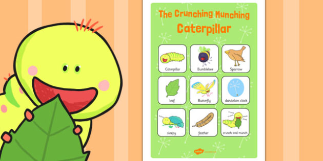 Vocabulary Poster to Support Teaching on The Crunching Munching Caterpillar