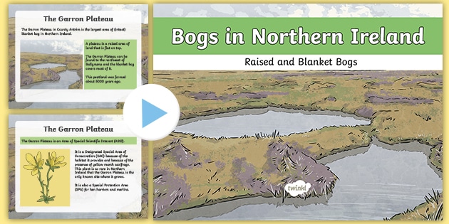 Bogs in Northern Ireland PowerPoint