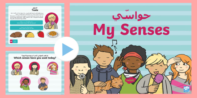 EYFS All About Me My Senses PowerPoint PowerPoint - Arabic/English