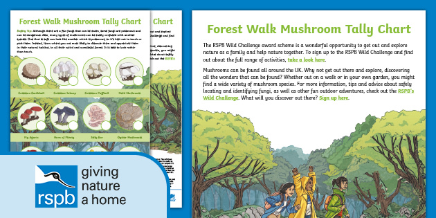Mushroom Biology Resources | twinkl.co.uk