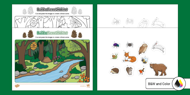 Forest Worksheet Educationcom New Forest Heritage Activity Pack