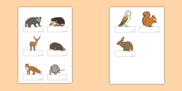 Editable Self-Registration Labels (Woodland Animals) - Self
