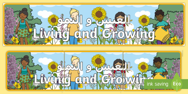 Living and Growing Display Banner Arabic/English