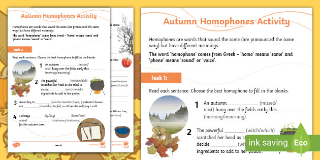 Homophones Activity Sheets Autumn (teacher made)