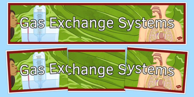 Gas Exchange Systems Display Banner
